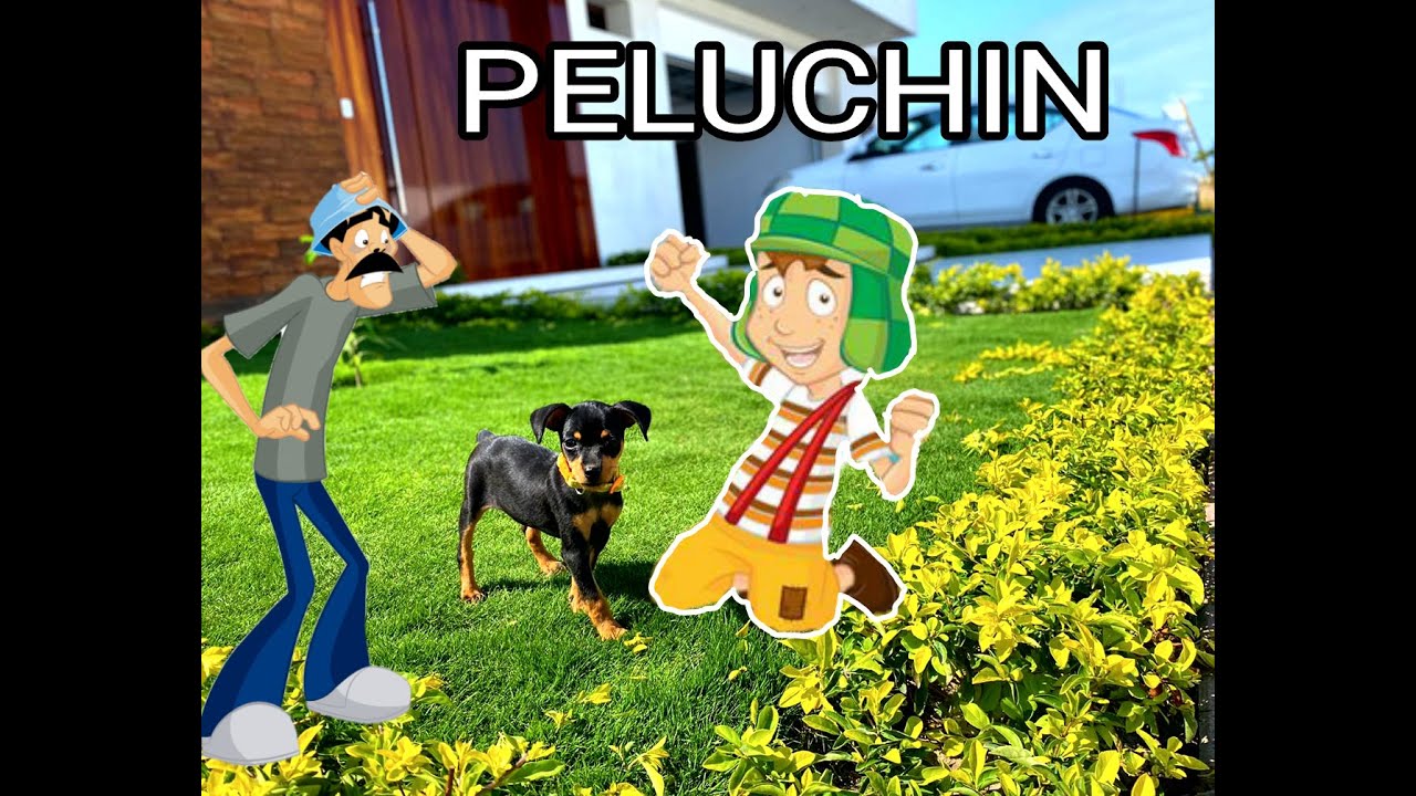 PELUCHIN - LA CHILINDRINA - Musical del chavo del 8 | MUSICA PARA ...