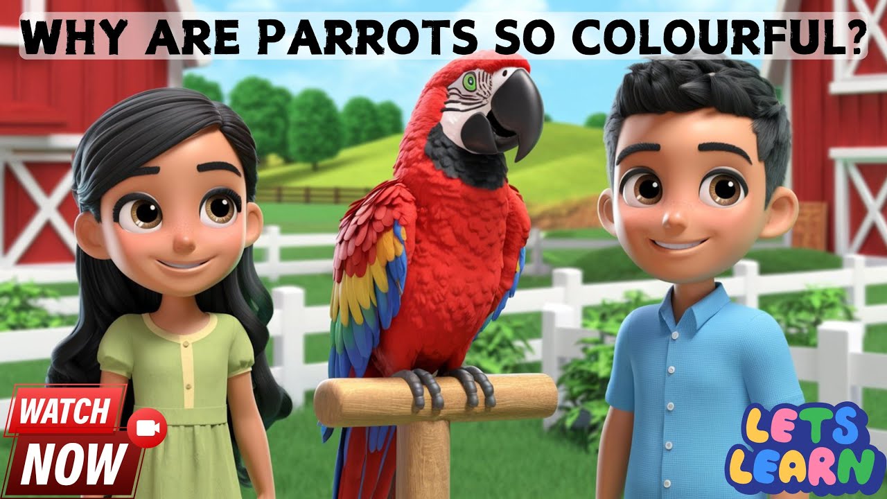 The Colourful Parrot 🦜 | Fun Learning About Parrots for Preschoolers ...