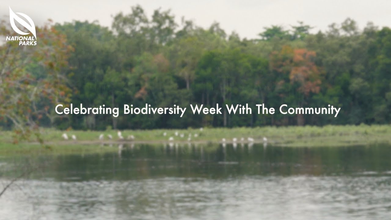 Biodiversity Week 2024 - YouTube