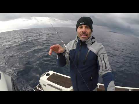 Pesca in Mare: la tecnica del Trolling Bolentino - Pesca Ladispoli ...