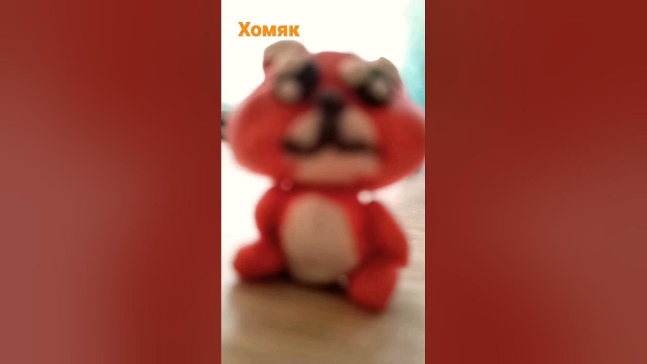 СМЕШНОЙ ХОМЯК 🐹 - YouTube