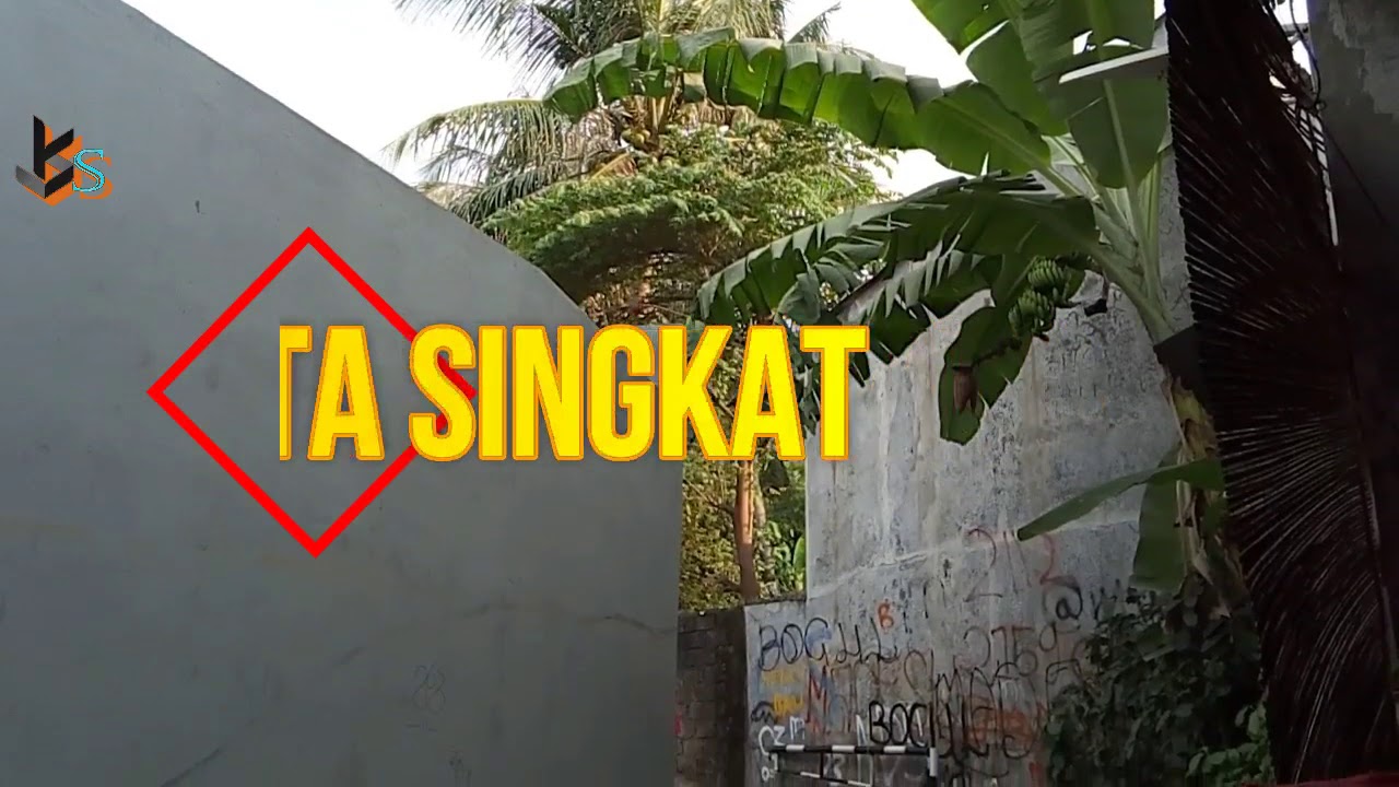 Dikala lapar (cerkat) - YouTube