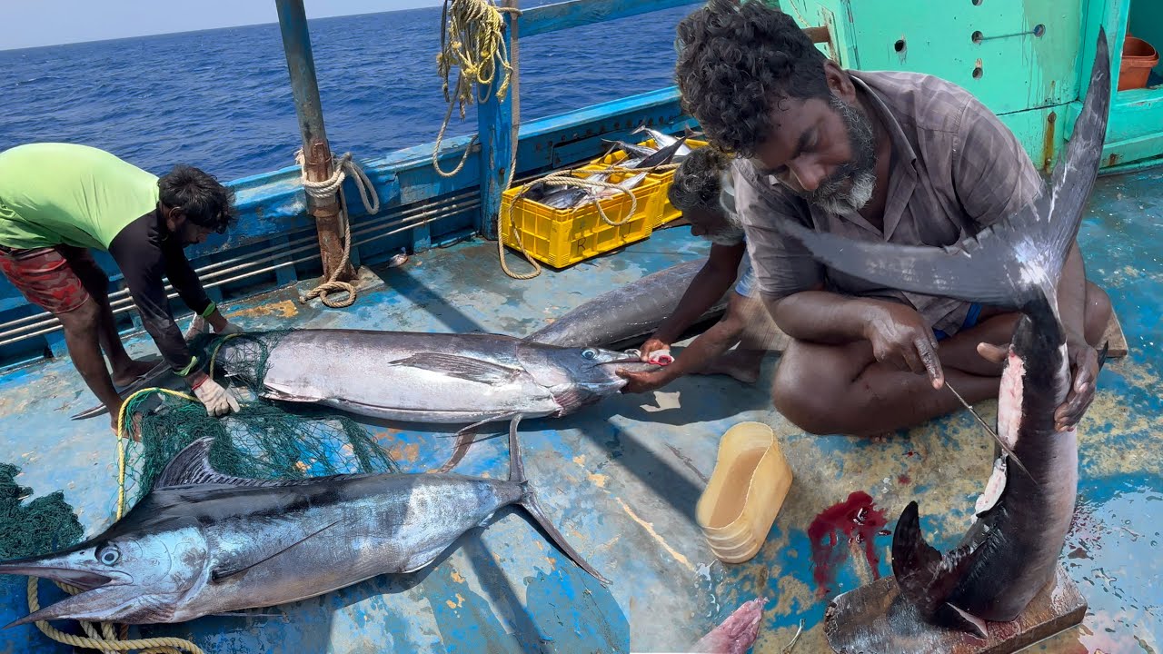 Great 🤩The Twelfth Day Of Our Stay In The Deep Sea‼️Cooking the Biggest ...