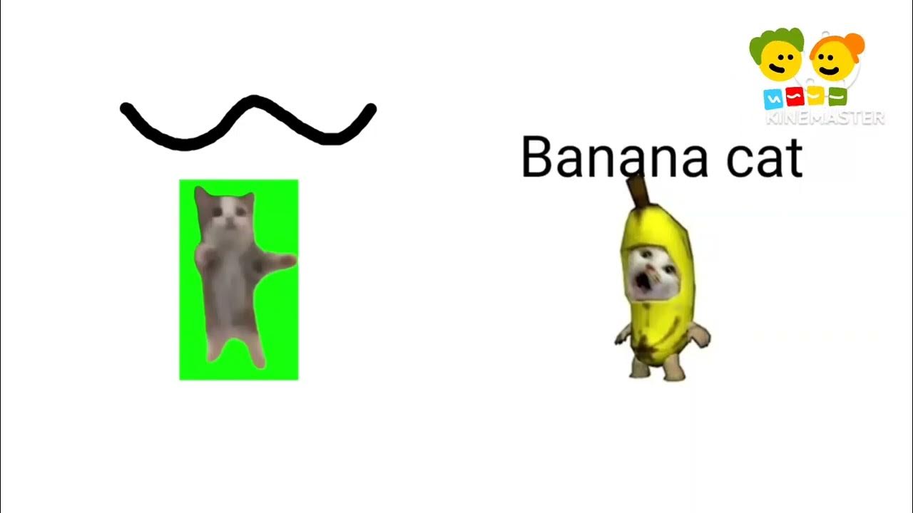 The Happy Cat Show Intro (Sicksuckish) - YouTube