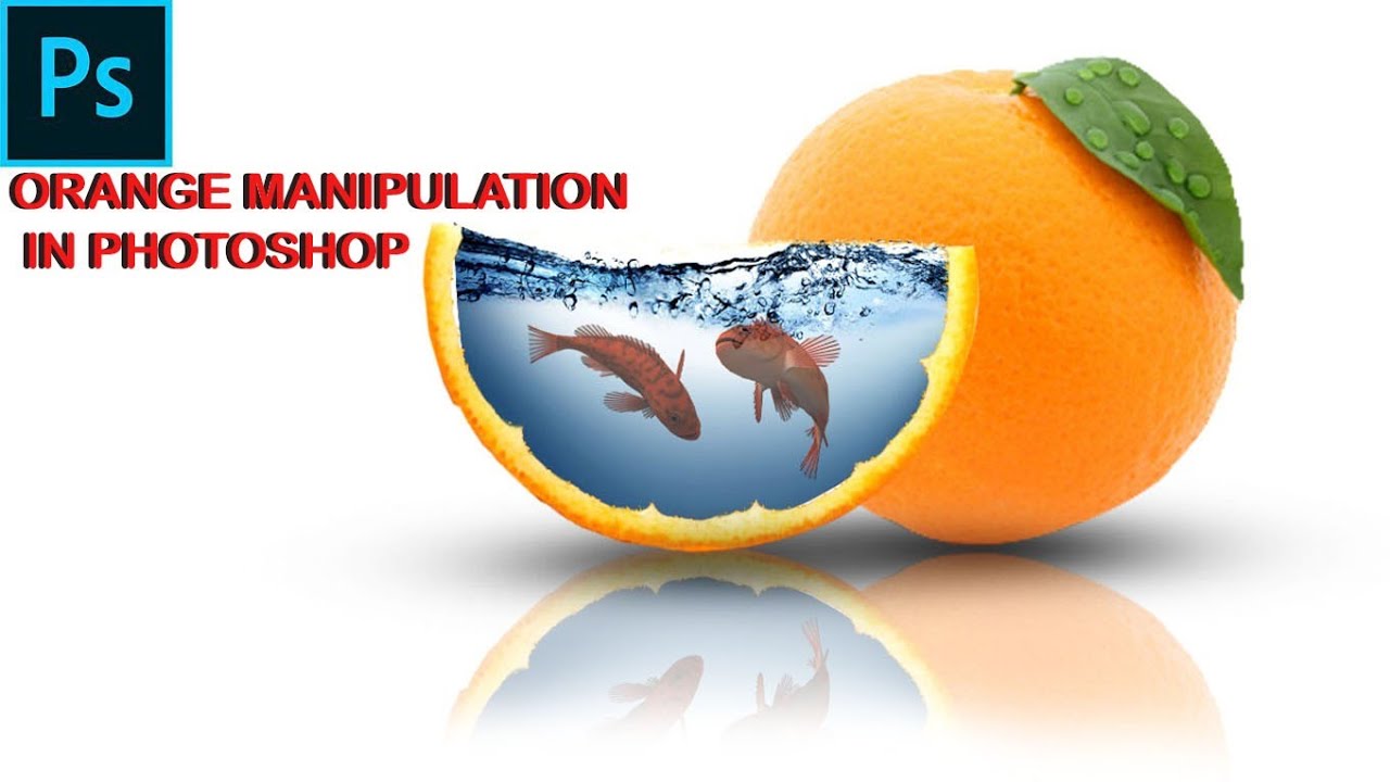 # orange fish water manipulation #photoshoptutorial #graphicdesign ...