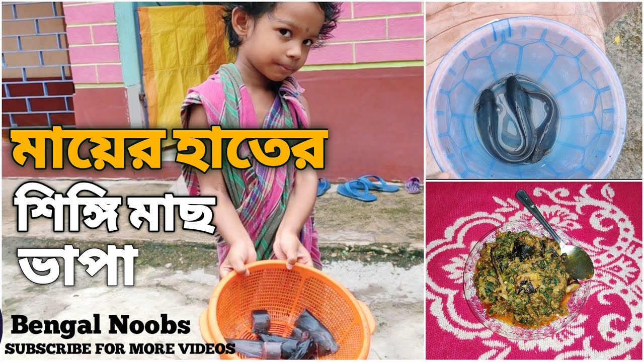 Lau Patay Shingi Mach bhapa recipe | Jiol Fish recipe | Desi Shingi ...