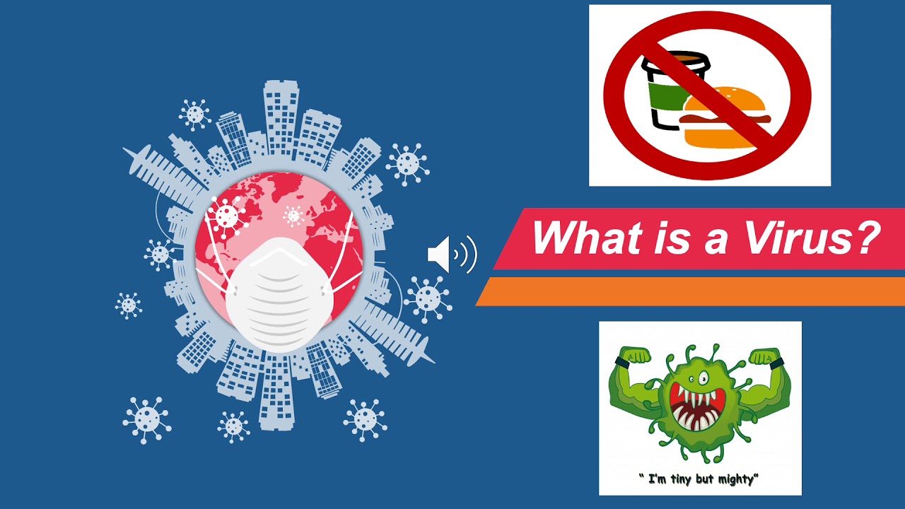 #6 - Virus & Health Overview - YouTube