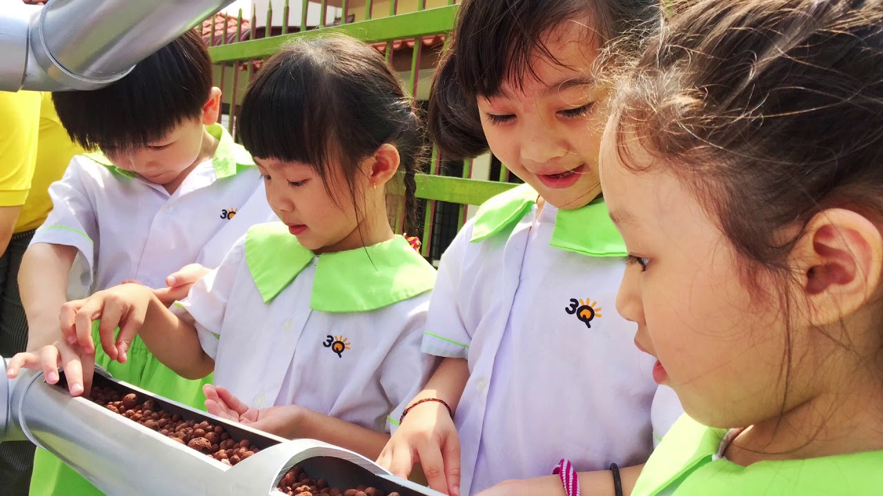 AGROXIN AQUA ORGANIC SYSTEM - YouTube