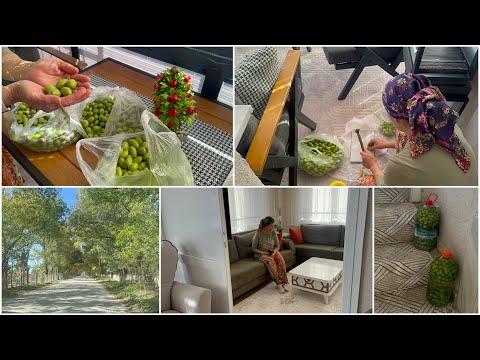 ÜÇ ÇEŞİT ZEYTİN KURDUM❗️GÜNLÜK VLOG