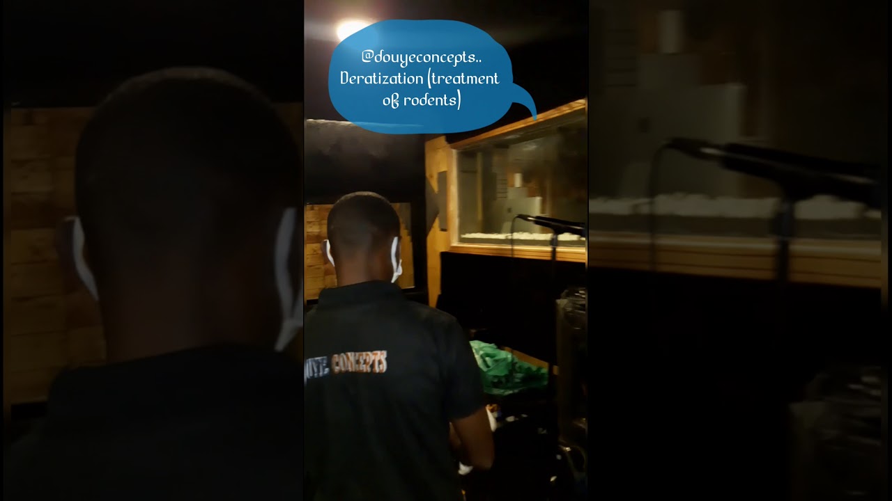 Phase 1- Deratization (treatment of rodents) - YouTube