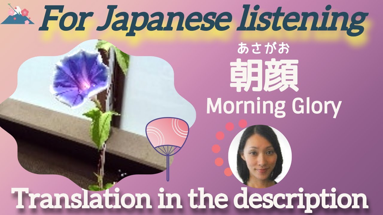 Japanese morning Glory - Learn Japanese ! - YouTube