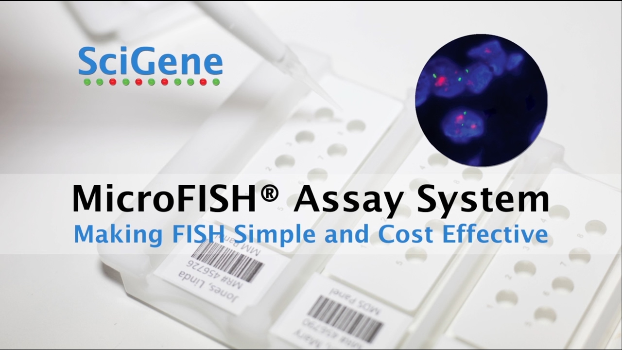 MicroFISH Assay System (1080p) - YouTube