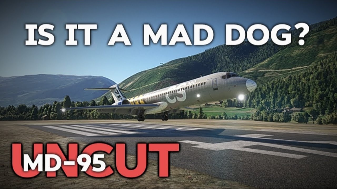 Is The MD-95 a TRUE MADDOG? (UNCUT) - YouTube
