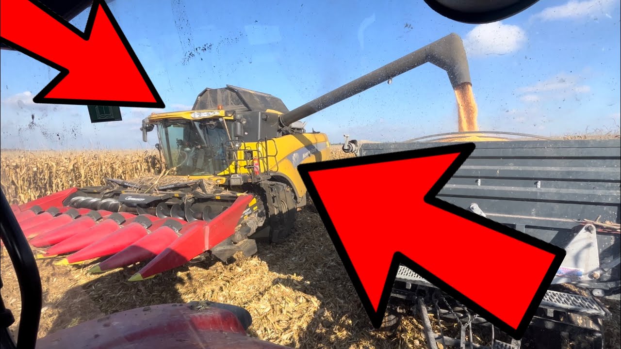 Case IH Puma 200 from the cabin (corn harvest) [4k] - YouTube