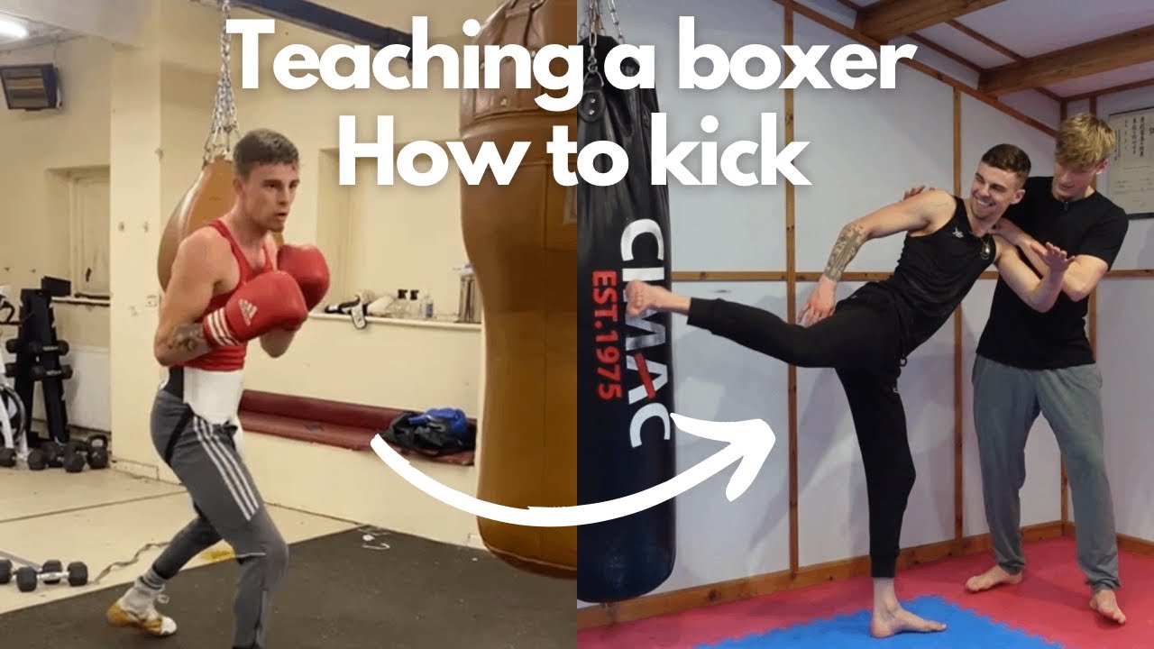 Teaching a BOXER How to Kick - YouTube