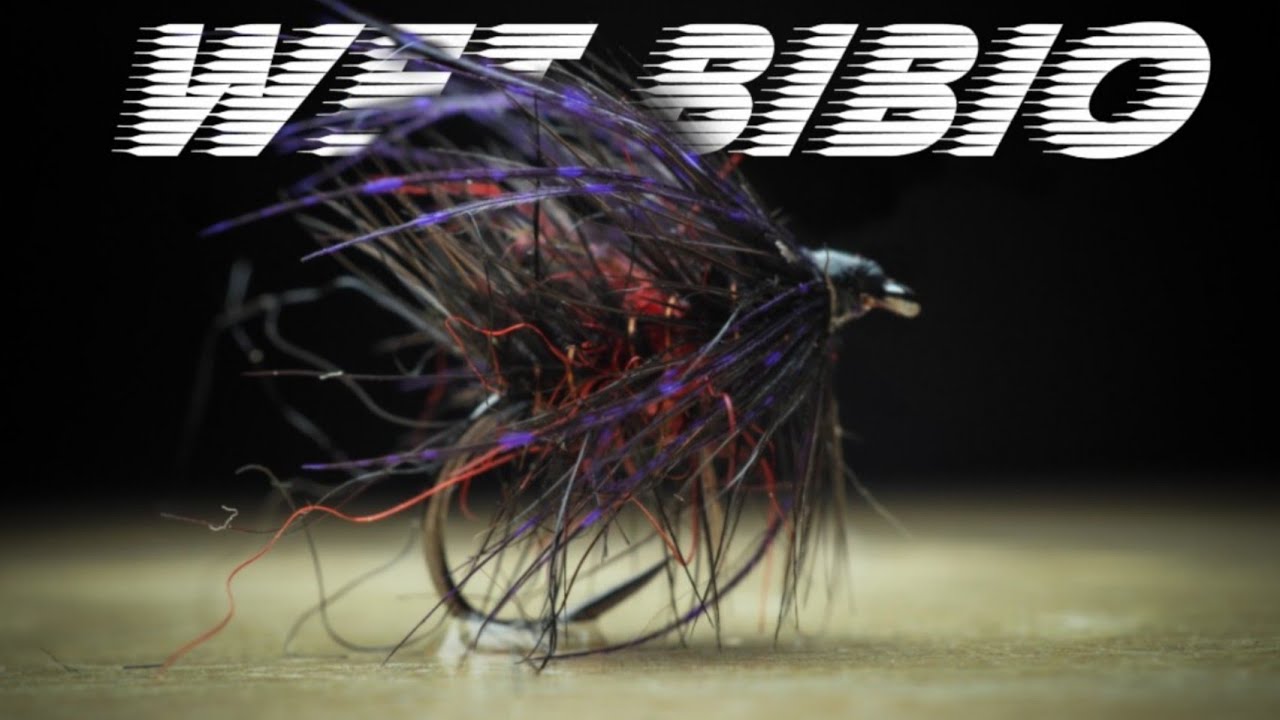 Wet Bibio (Variant) - Fly tying with G.Zingaro - YouTube
