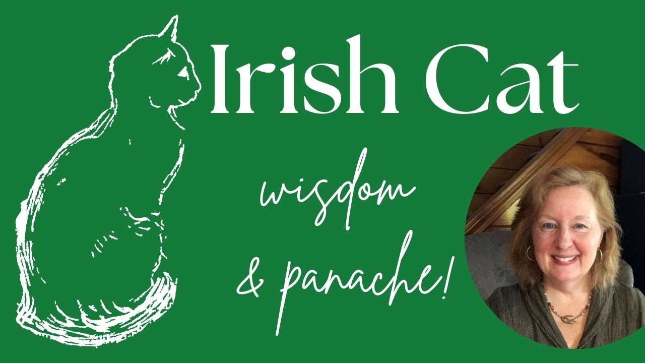3 Lessons from Irish Cats 🍀 and a couple bonus kittens! #ireland #cat # ...