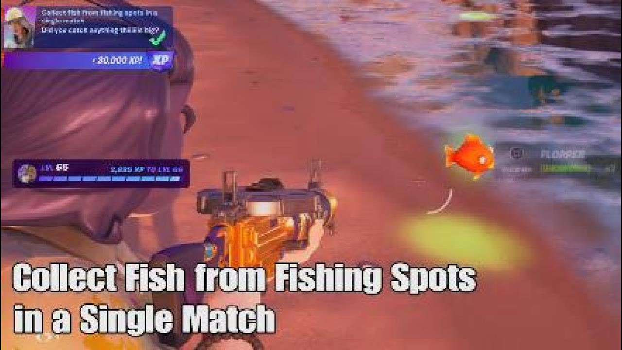 Collect Fish From Fishing Spots in a Single Match - Fortnite Summer ...