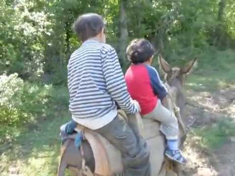 Eşek üzerinde gezinti ve eşeğin dişisine haykırışı :)