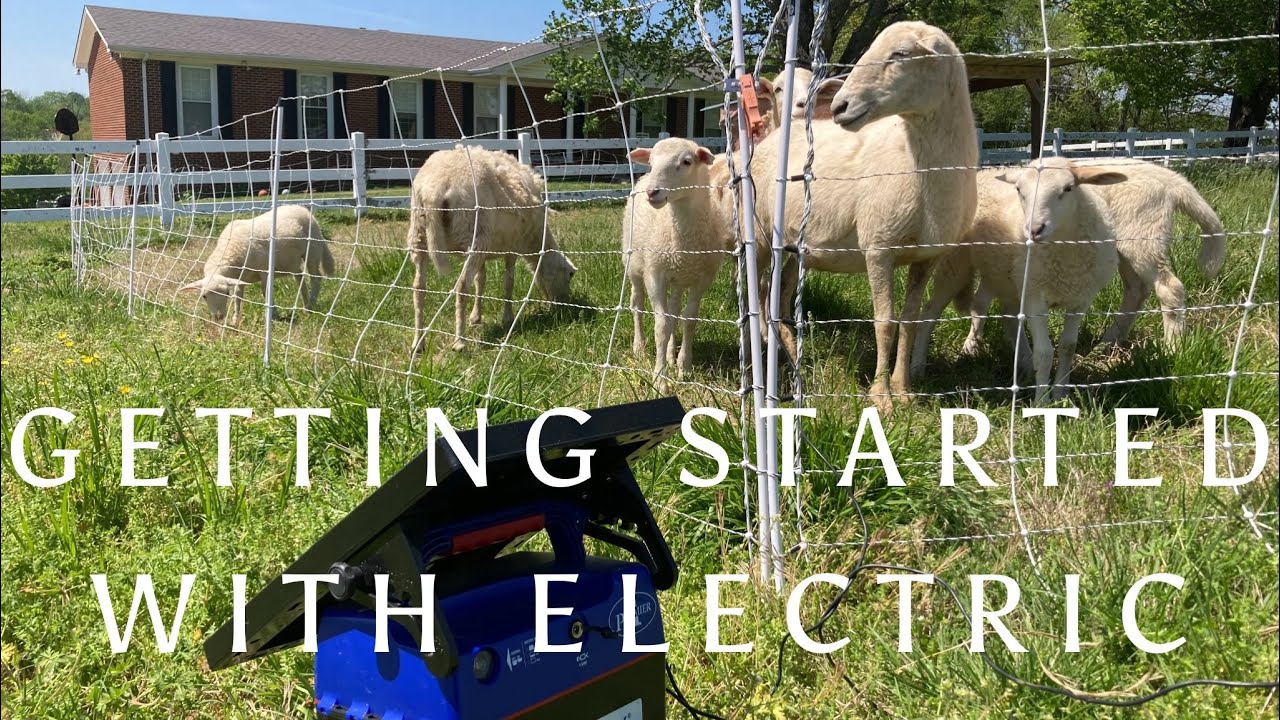Getting Started with Electric Fencing for Rotational Grazing - YouTube