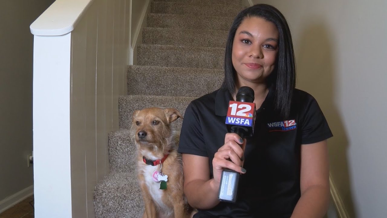 2021 ABBY Awards - Sports Personality: Hailey Sutton WSFA 12 Sports ...