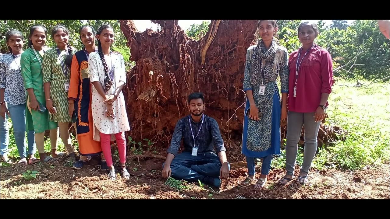 Plantation and adoption of a tree-SOCIAL CONNECT & RESPONSIBILITIES ...