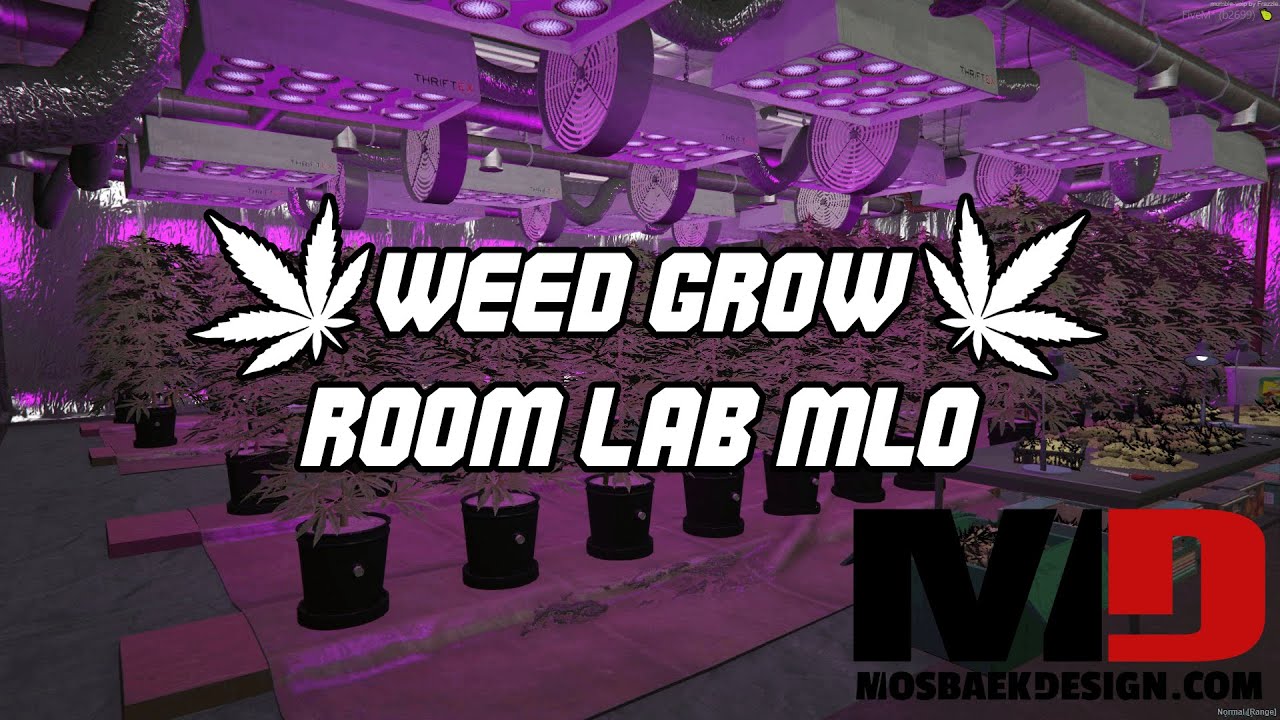 Weed Grow Room Lab Mlo [FiveM/Gta5] - YouTube