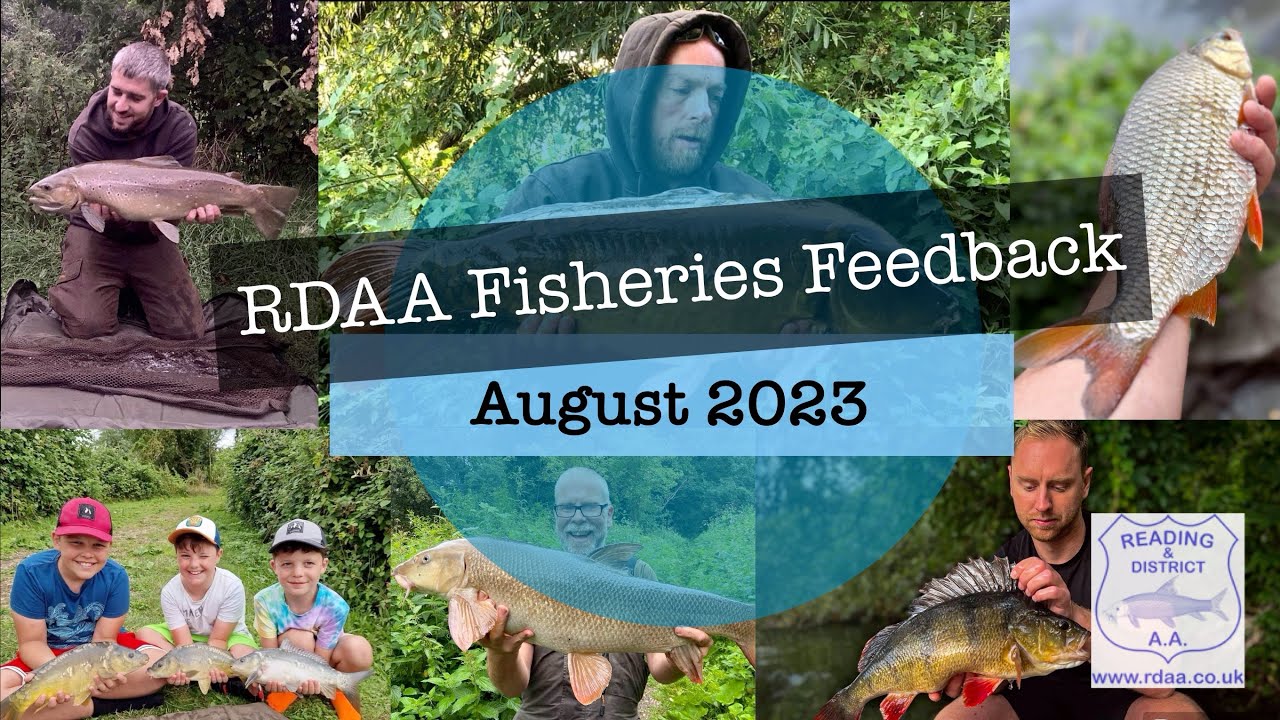 August 23 : RDAA Fisheries Feedback - YouTube
