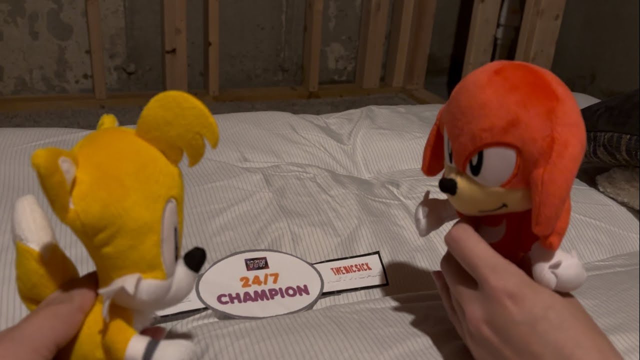 24/7 Champion Tails and Knuckles hold a sparring session - YouTube