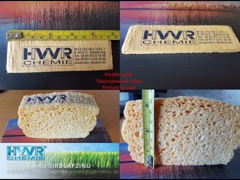 Pressed sponge (for shower) - YouTube