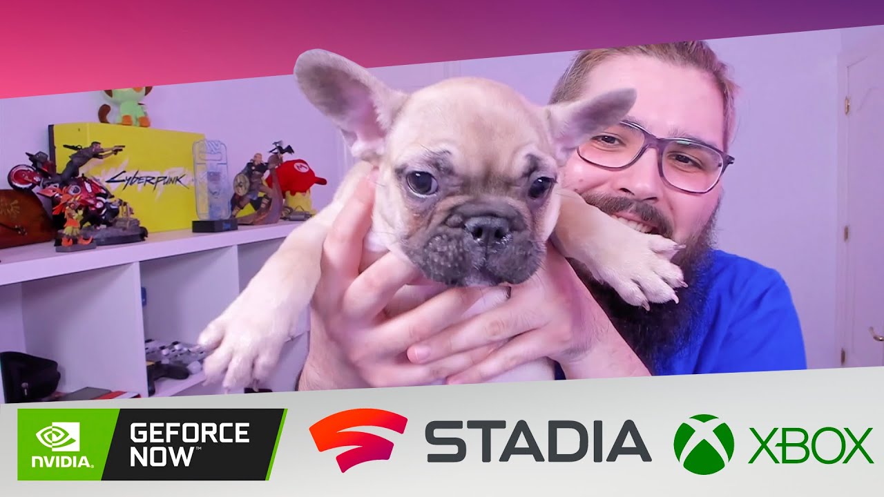 Comparativa: Stadia VS Nvidia GeForce Now VS xCloud (Streaming) - YouTube