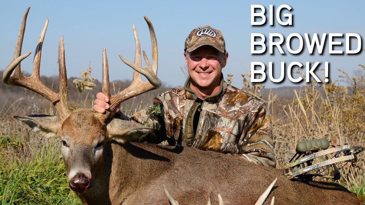 HUGE Brow Tine Buck! | Bowhunting The Rut In Southern Iowa - YouTube