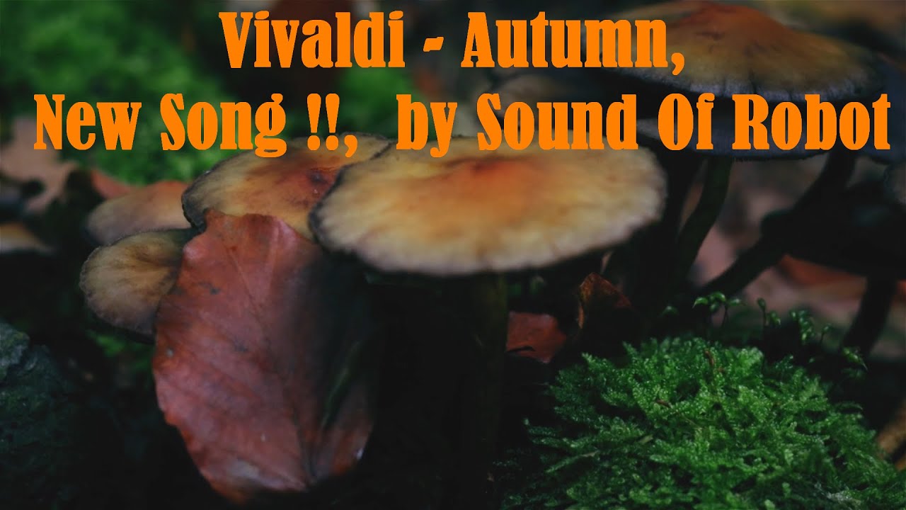 Vivaldi - Autumn, Re-imagined by Sound of Robot - YouTube