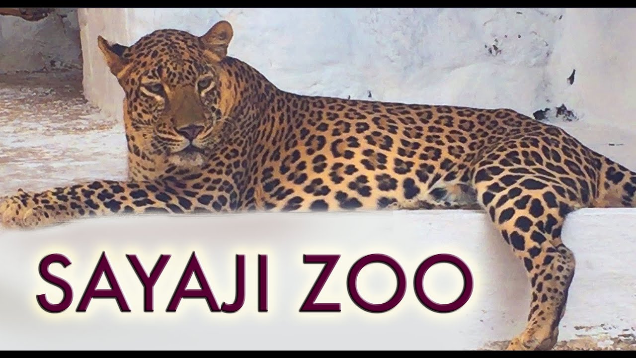 Sayaji Baug and Zoo - Largest Public Gardens in Western India, Vadodara ...