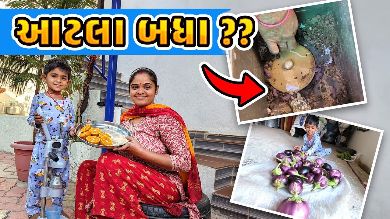 આટલું બધું શું નીકળ્યું Gujarati ફેમિલી Vlog Youtube