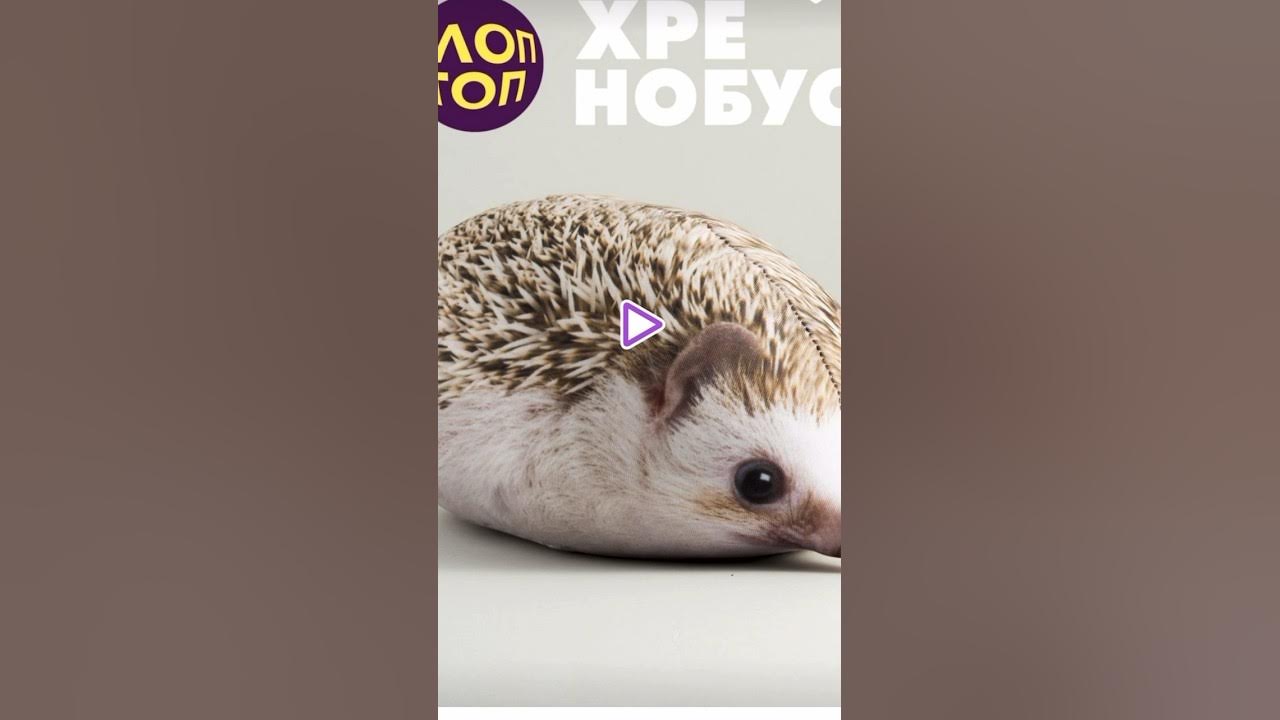 Все игрушки блоп топ - YouTube