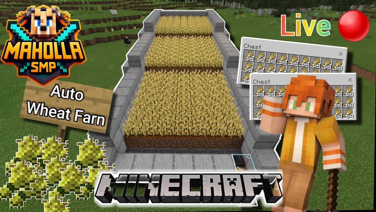 Can we made an automatic wheat farm in Maholla SMP 👀 | minecraft live ...