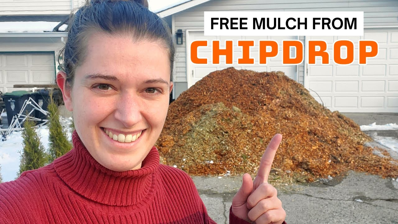 I got a MOUNTAIN of wood chips! (ChipDrop review) - YouTube
