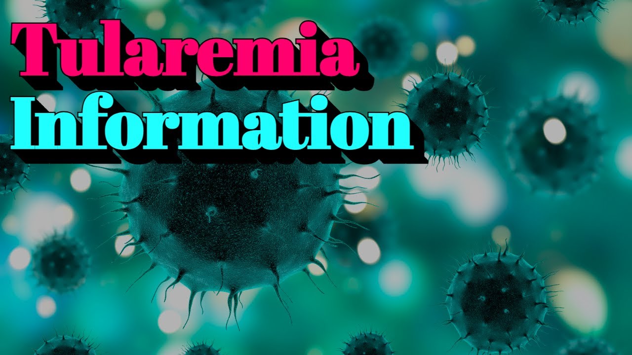Tularemia Information (🔬Tier.1 Infectious Disease) - YouTube
