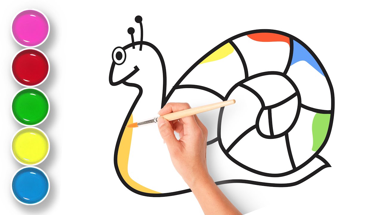 How to Draw a Snail | Animals Drawings, Painting | Aprende a Dibujar a ...
