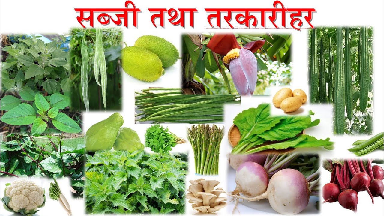 Vegetables Name Nepali To English at Edith Drum blog