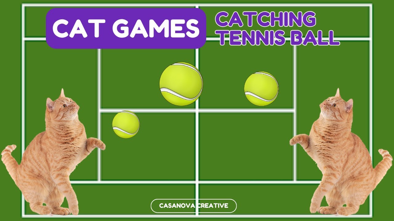 CAT GAMES - Catching Ball Video For Cats - YouTube