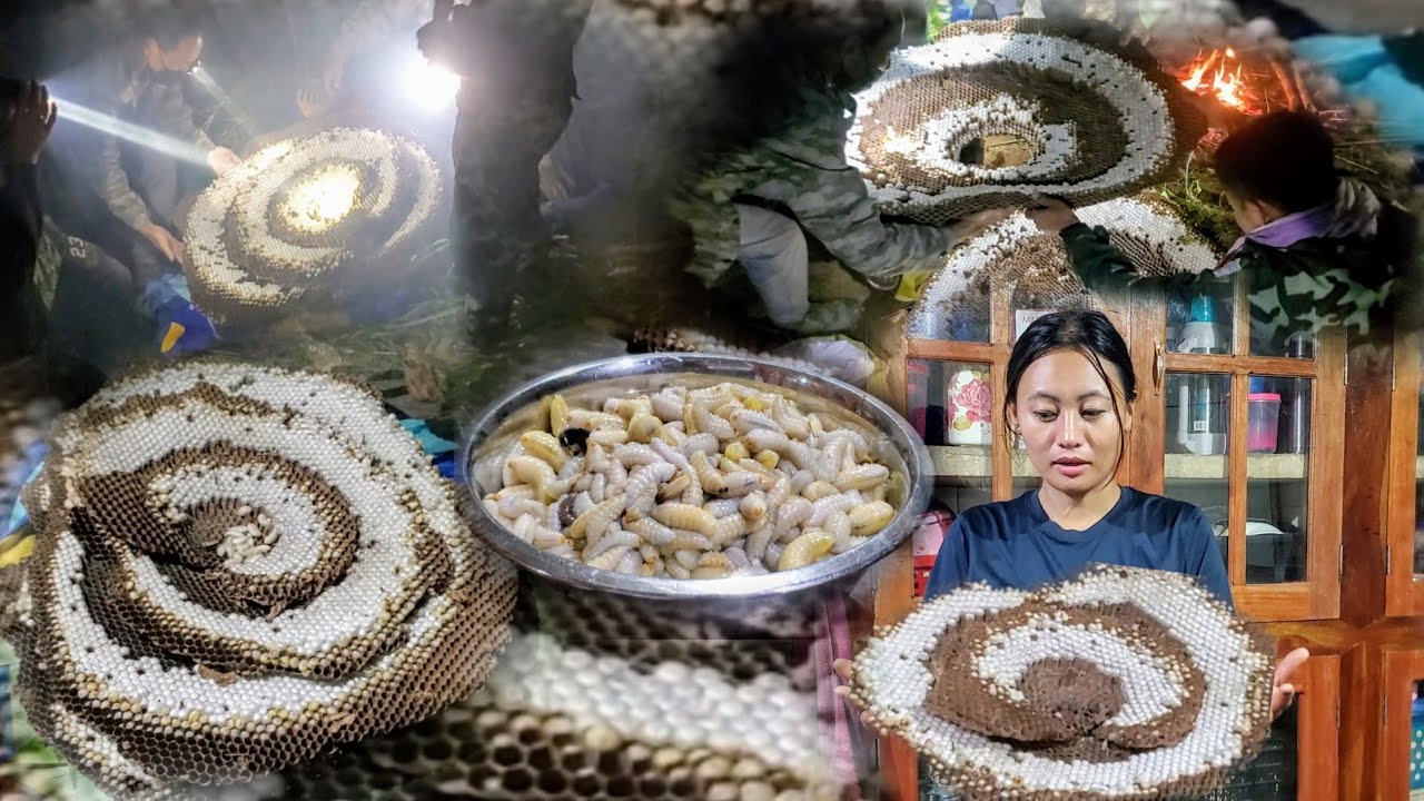 Harvesting and preparing most expensive Naga delicacy The Giant Bee ...