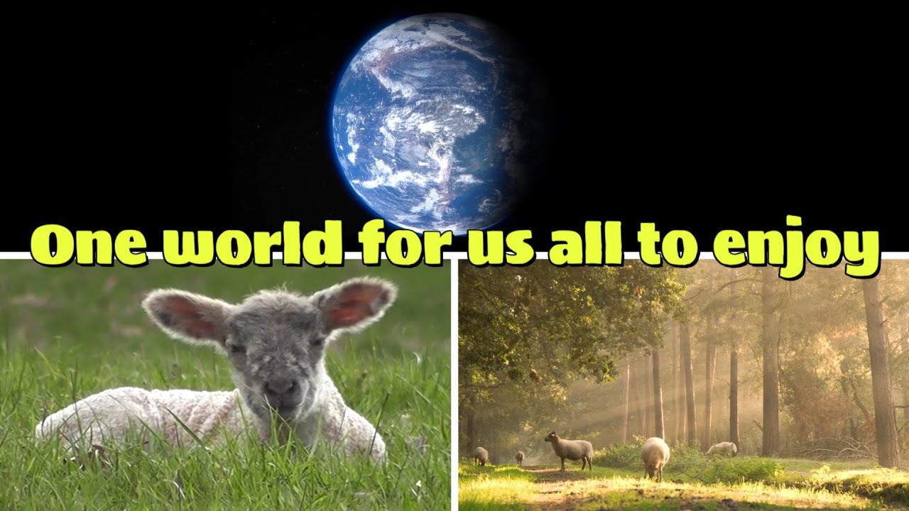One World Song - One Home For Us All (Caring For, and Sharing Planet ...