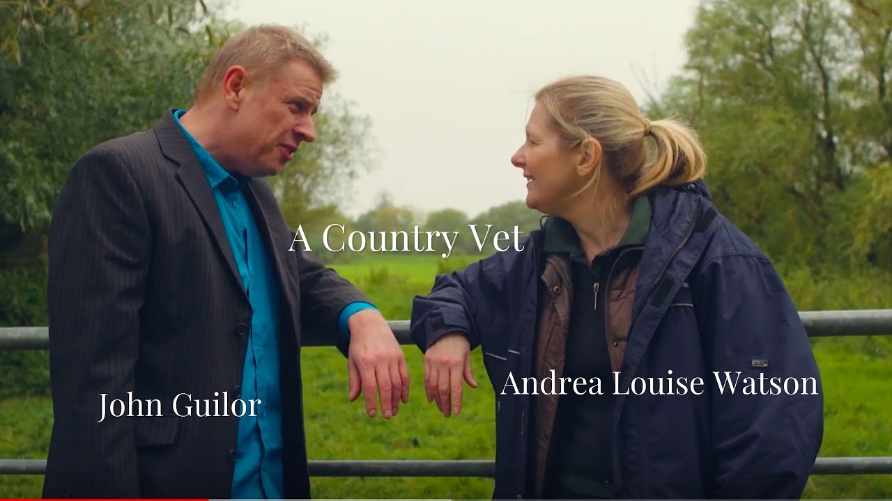 Country Vet - YouTube