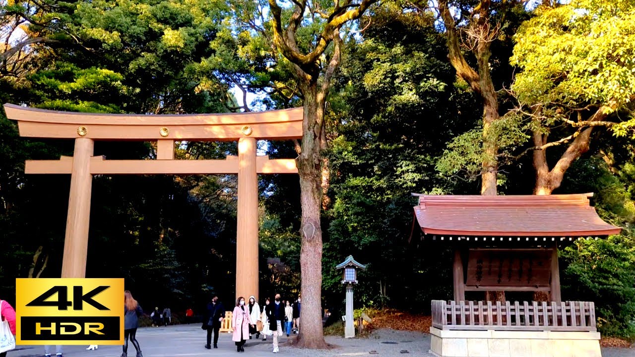 Yoyogi Park / Meiji Jingu | most famous park in Tokyo [4K Walk in Tokyo ...