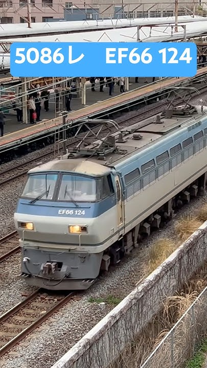 【5086レ】EF66 124 #貨物列車 #shorts #ef66 #train #japan - YouTube