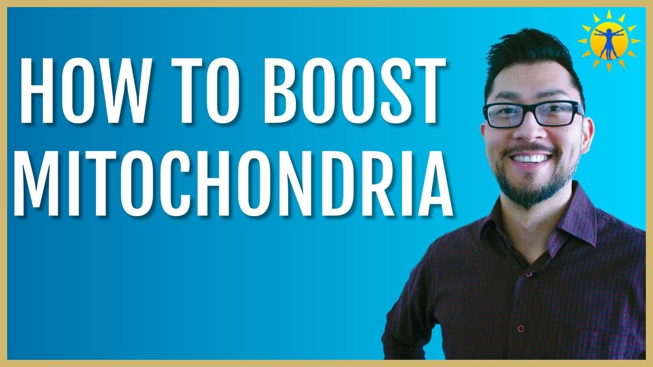 ☀️ 2 Easy Ways To Increase Your Mitochondria (2024) - YouTube