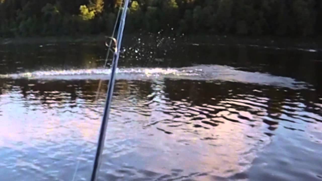 Splash! - YouTube