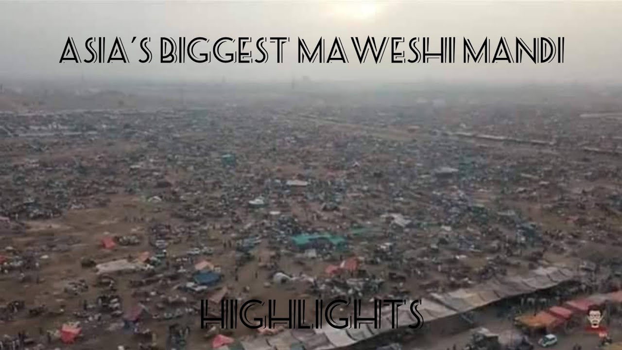 MAWESHI MANDI HIGHLIGHTS | ASIA'S BIGGEST MANDI | BAKRA EID 2021 - YouTube